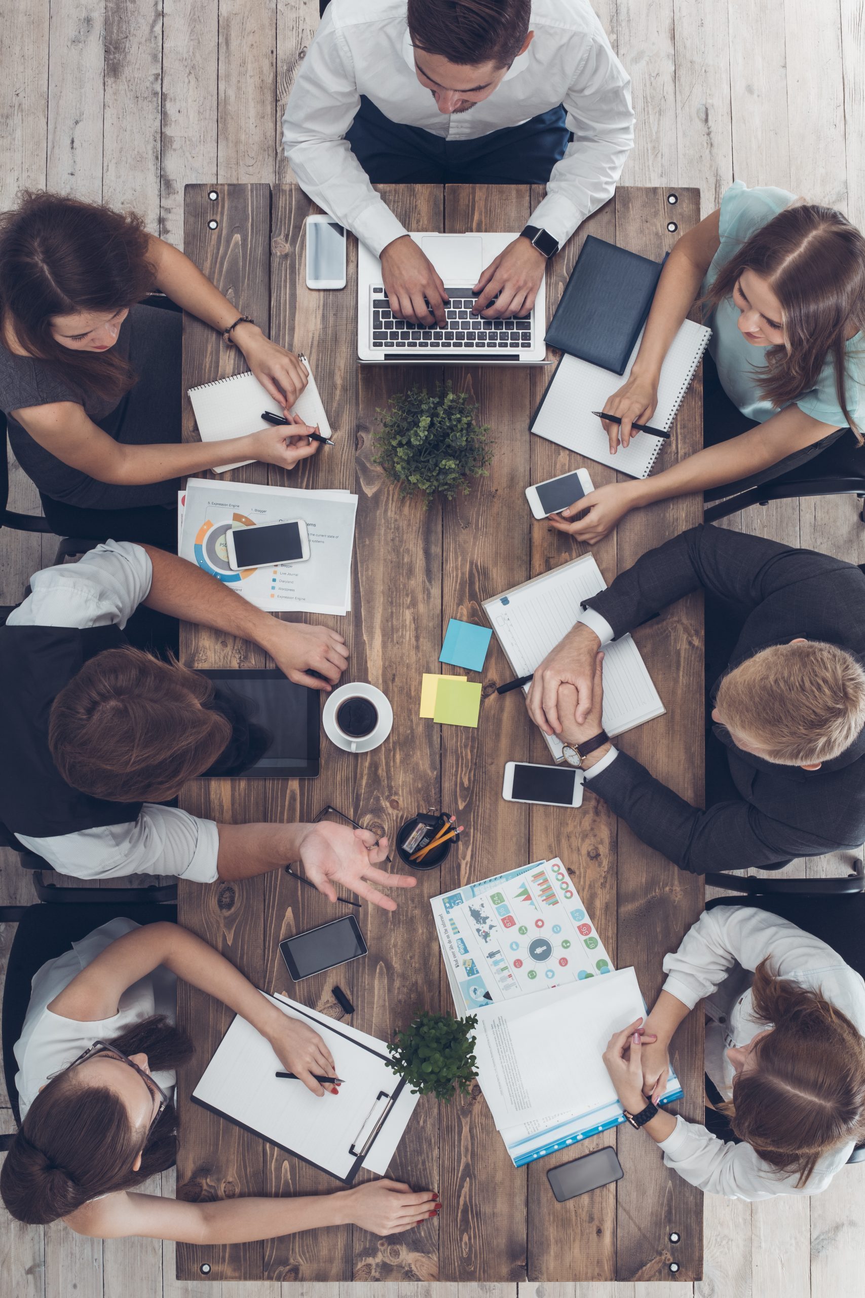 marketing & Business Development Specialization - ESCE